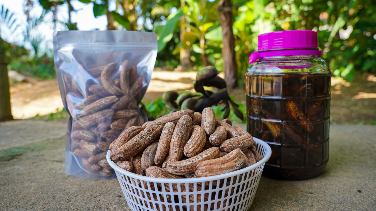 Loại quả xưa rụng đầy gốc, nay thành ‘của hiếm’ dân sành ăn lùng mua ...