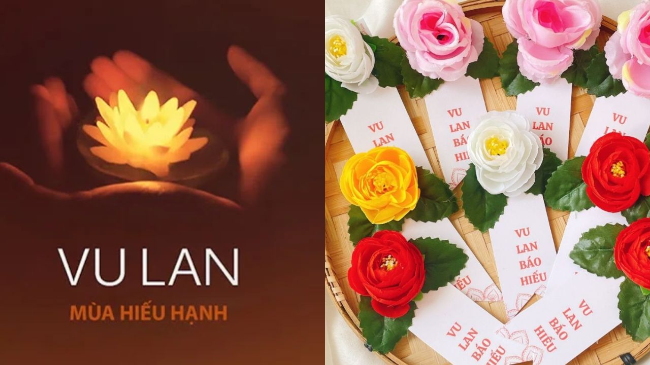 Lễ Vu Lan tháng 7 nghĩa là gì? Ý nghĩa của những bông hồng vàng, đỏ, hồng, trắng trên ngực áo ...