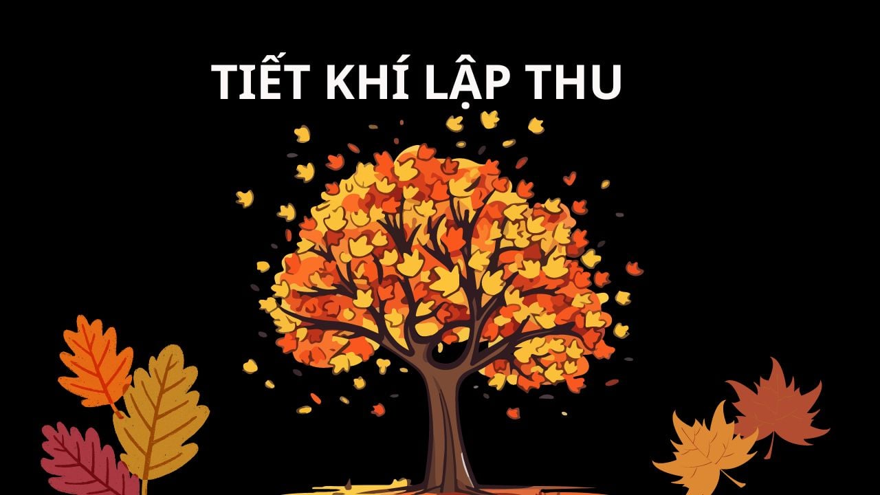 Hôm nay chính thức tiết khí lập thu, hãy nhớ lưu ý điều này để thuận ...