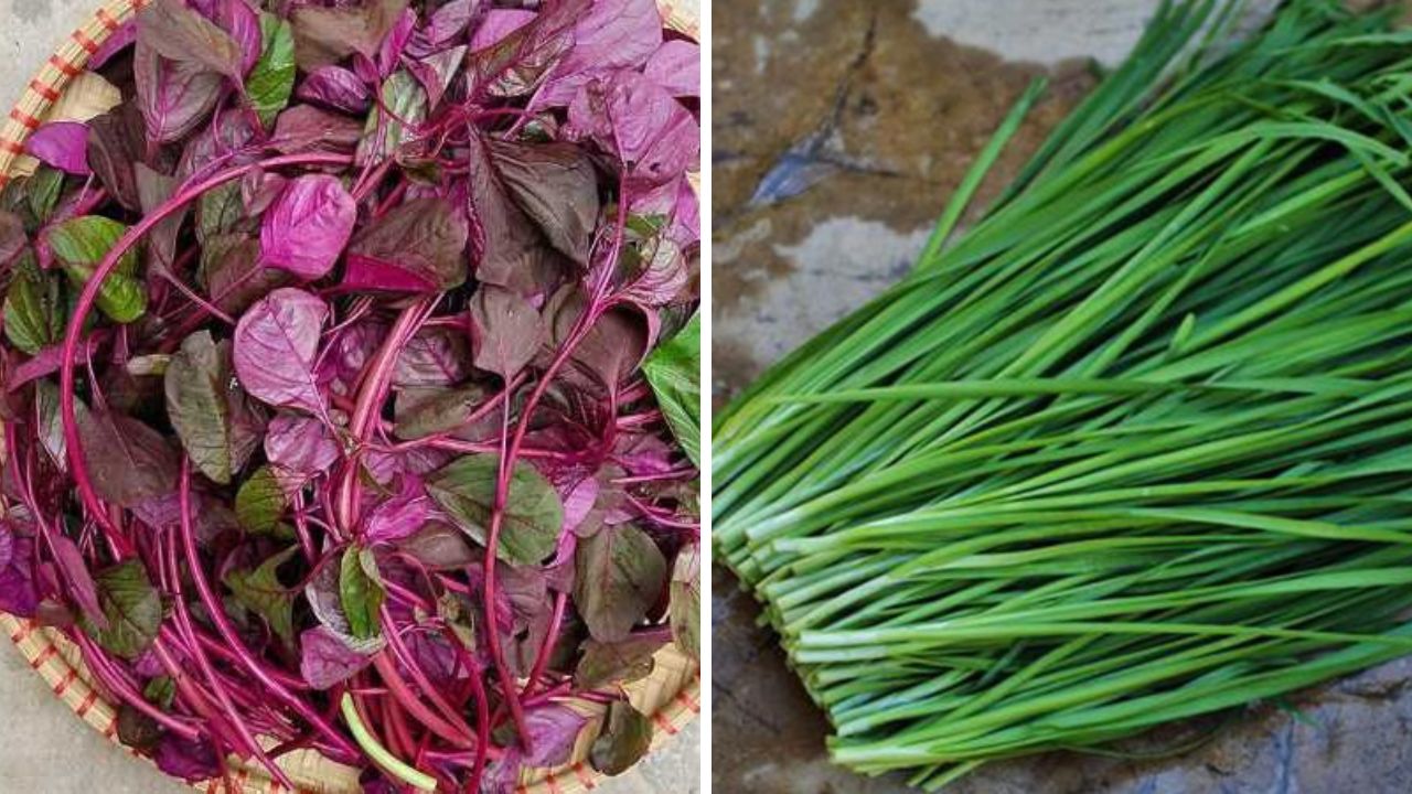 4 loại rau bổ hơn thịt, rẻ hơn thuốc, quý như nhân sâm: Bán đầy ngoài ...
