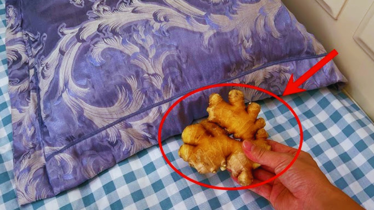 Đặt một củ gừng ở đầu giường: Công dụng tuyệt vời cả gia đình ai cũng thích