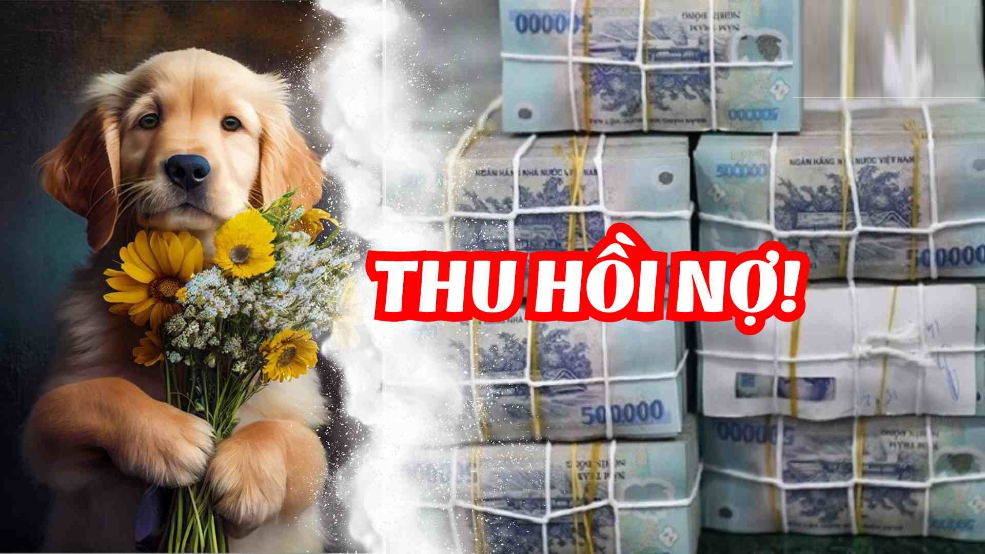 Chúc mừng 3 con giáp Trời ban đại lộc, đầu 2025 trả sạch nợ nần