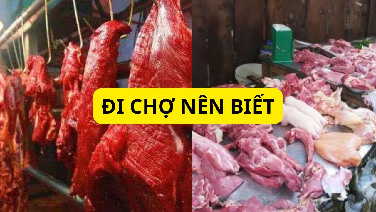 Tại sao người bán lại treo thịt bò lên cao còn đặt thịt lợn ở mặt bàn ...