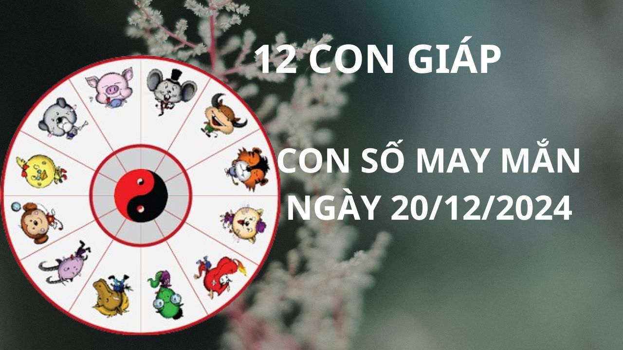 Tử vi ngày 20/12 con số may mắn Thần tài mở ví giúp 12 con giáp chạm ...