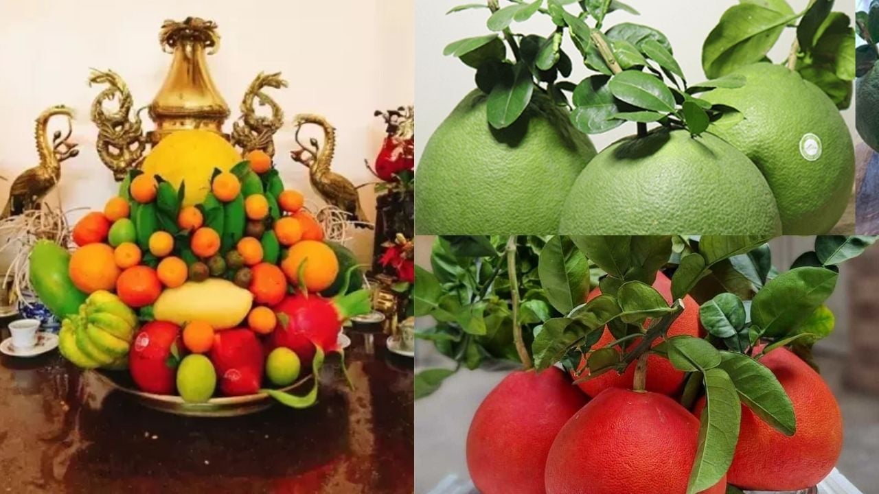 Chọn bưởi dâng cúng thắp hương nên chọn giống bưởi gì sẽ thu hút tài ...