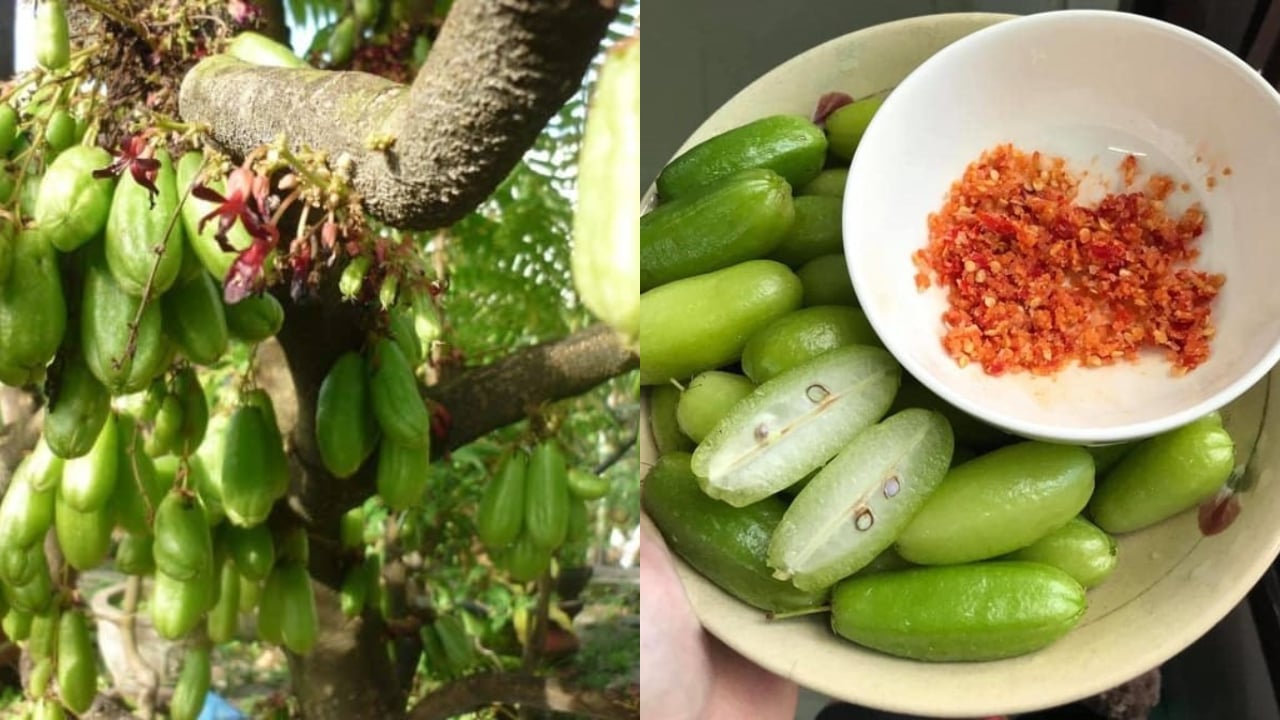 Từ quả dại bị bỏ quên nay thành đặc sản đắt khách: Vừa ngon miệng, vừa ...