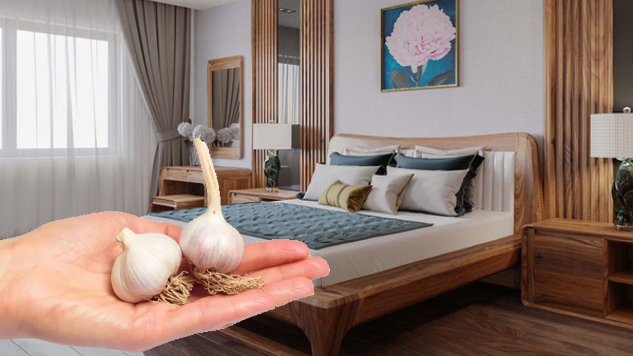 Vì sao nên để một củ tỏi ở đầu giường? Có 4 công dụng hữu ích, ai cũng ...