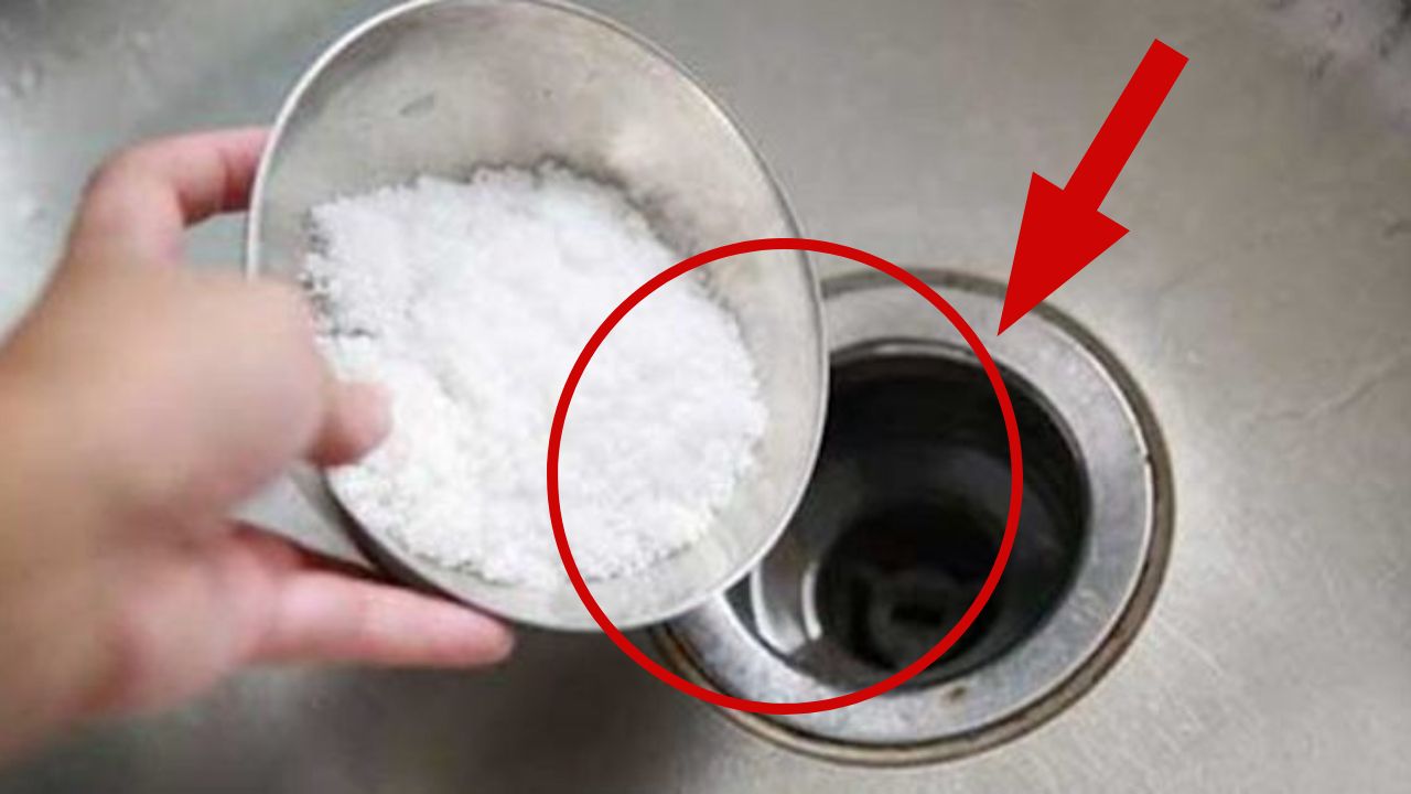 Đổ một chén muối xuống cống: Công dụng tuyệt vời nhà nào cũng cần, tiết ...