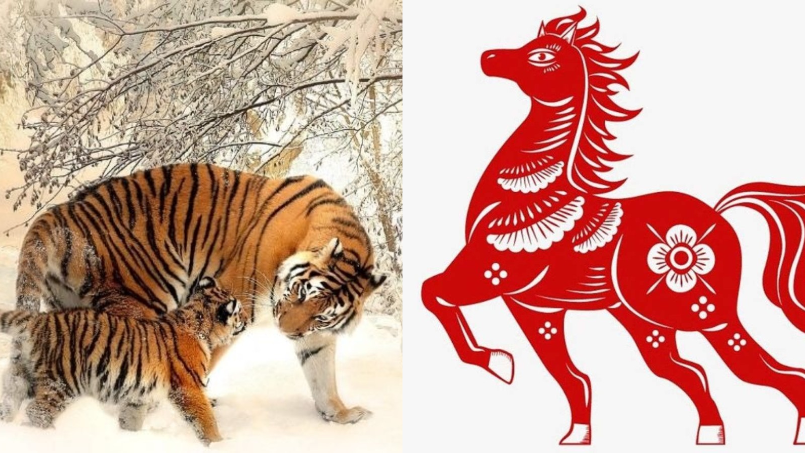 4 con giáp có chỉ số hạnh phúc cao nhất năm 2025: Đào hoa nở rộ, gặp nhiều may mắn, viên mãn