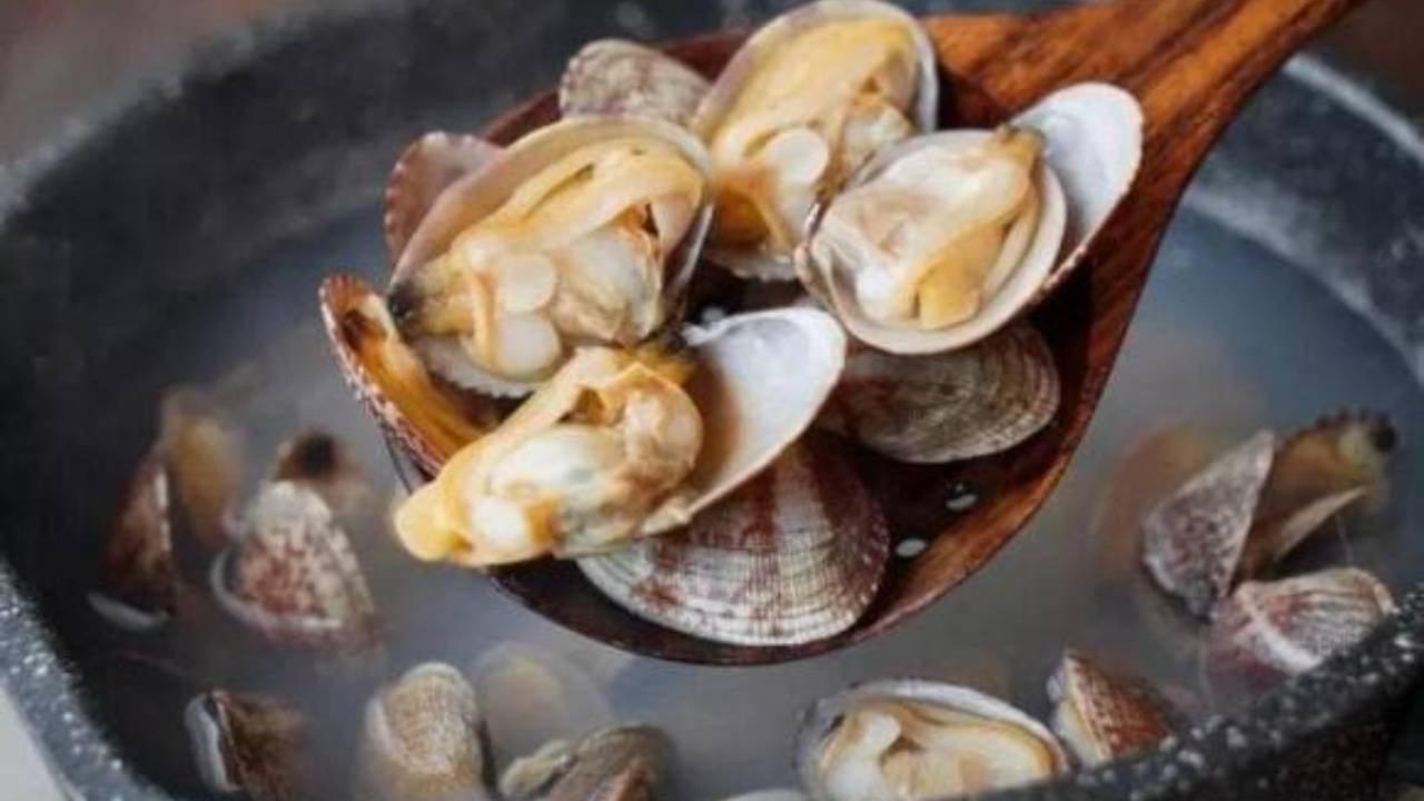 Ngao mua về ngậm đầy cát, thử 3 mẹo hay này là ngao nhả cát sạch sẽ