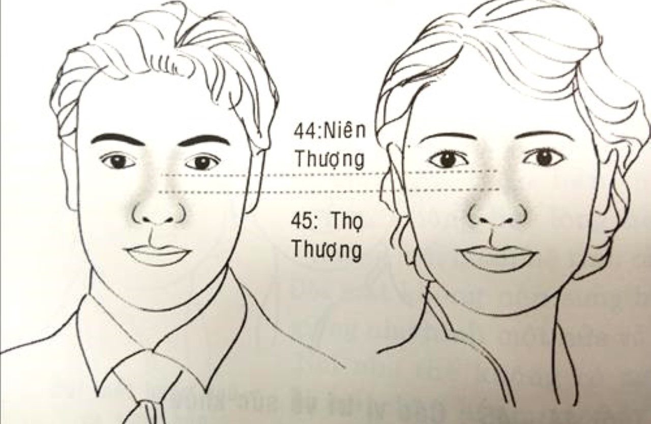 Nhìn nét tướng trên khuôn mặt, đoán vận số của những người ở độ tuổi từ ...