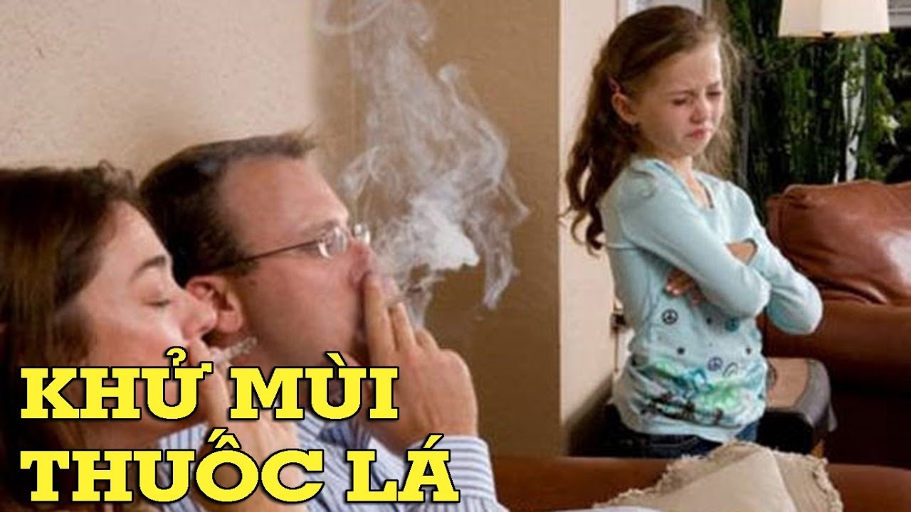 Phòng ám mùi khói thuốc: Làm cách này không cần mở cửa sổ, mùi khói sẽ ...