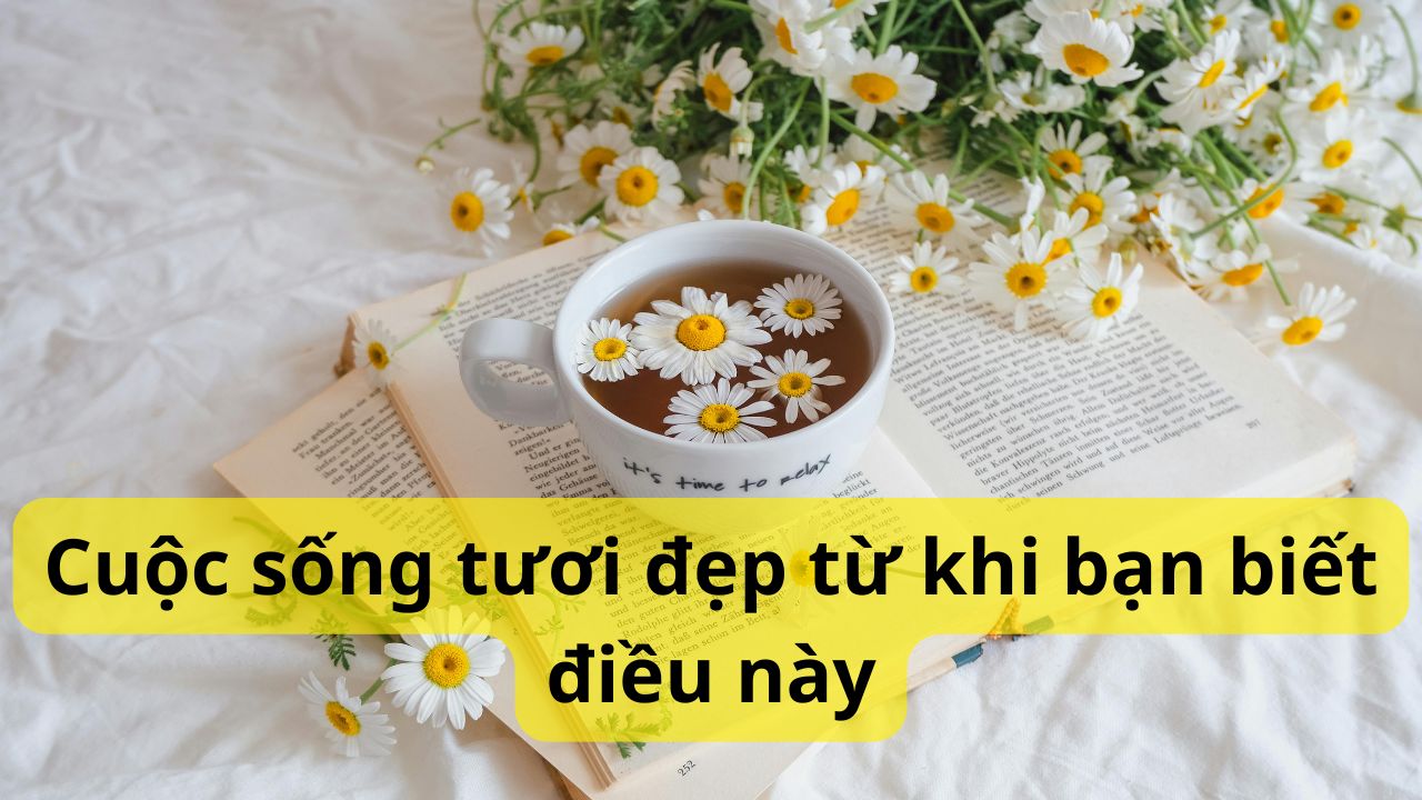 Người khôn khéo sẽ tránh nói 3 điều, tránh tới 3 nơi, tránh kết thân 3 người. Hiểu ra mới thấy ...