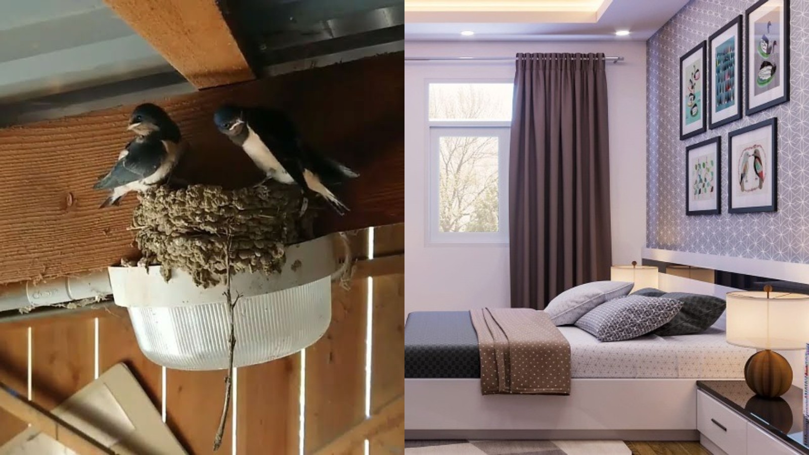 5 hiện tượng báo tin trúng lộc trời, nhà sắp đón tiền tài ùn ùn kéo đến