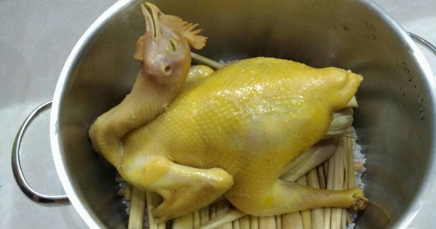 Luộc gà bằng nước là dại: Cách luộc gà không cần nước giúp món ăn thơm ...