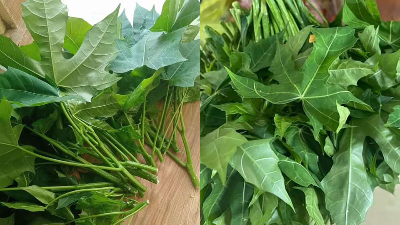 Loại rau ‘nghe tên đã ngọt’ gây sốt chợ Việt: Hương vị độc lạ, nhà hàng ...