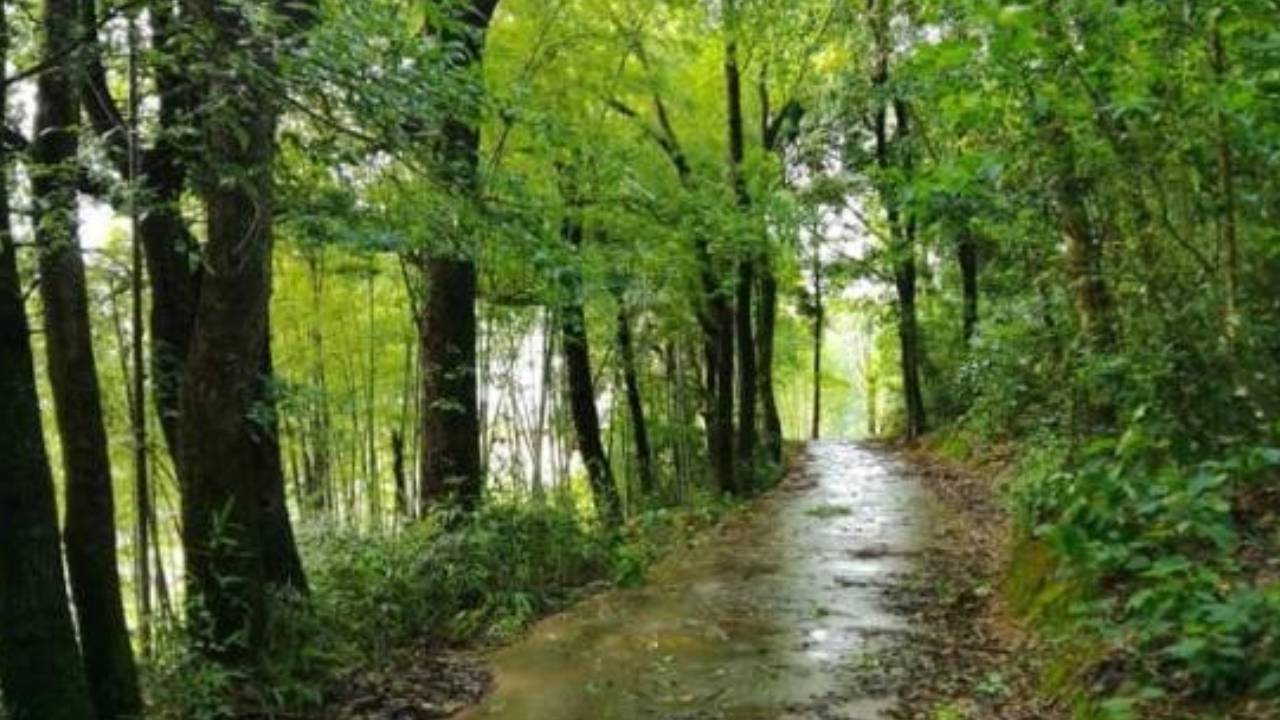 Trắc nghiệm tâm lý: Bạn chọn con đường nào trong 4 lựa chọn này?