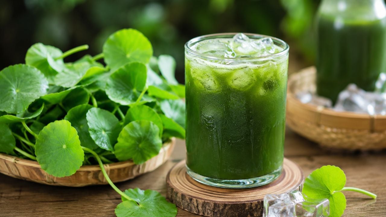 Cách làm nước rau má thanh nhiệt, mẹo hay để nước xanh mướt, không xỉn ...