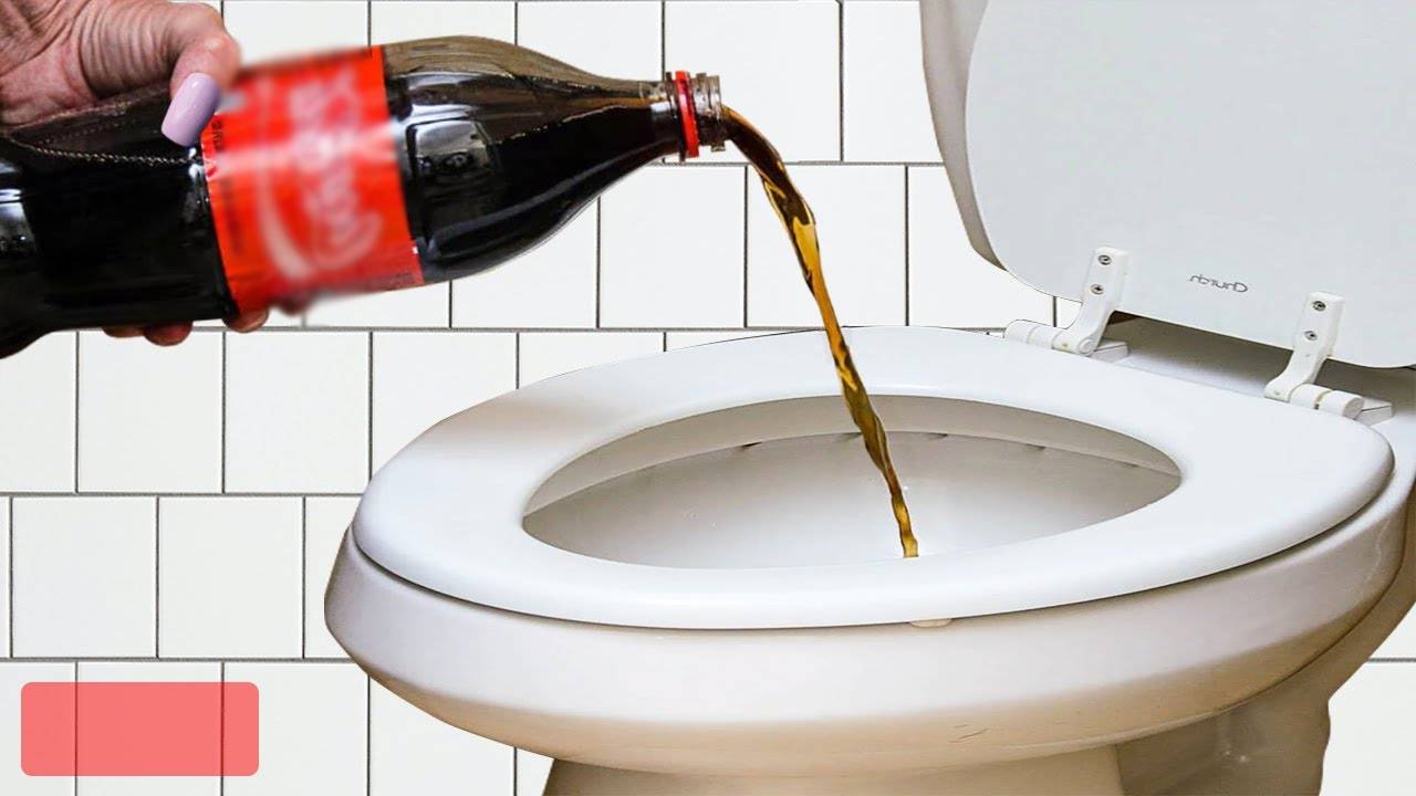 3 lợi ích bất ngờ khi đổ coca vào bồn cầu